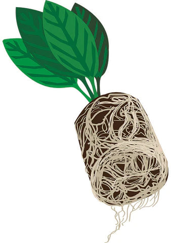 Potting Fee 20" – Pollyn